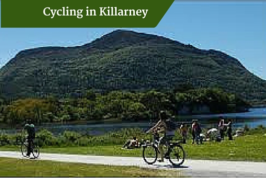 The Best Views of Killarney | Private Guided Tour of Ireland ...