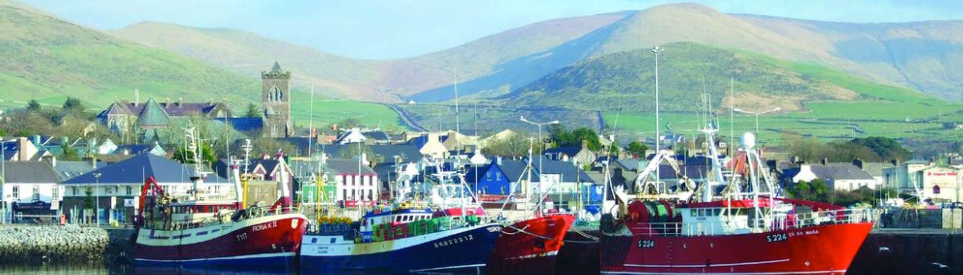 Dingle : Home of Fungie the Dolphin | Private Irish Trip - Executive ...