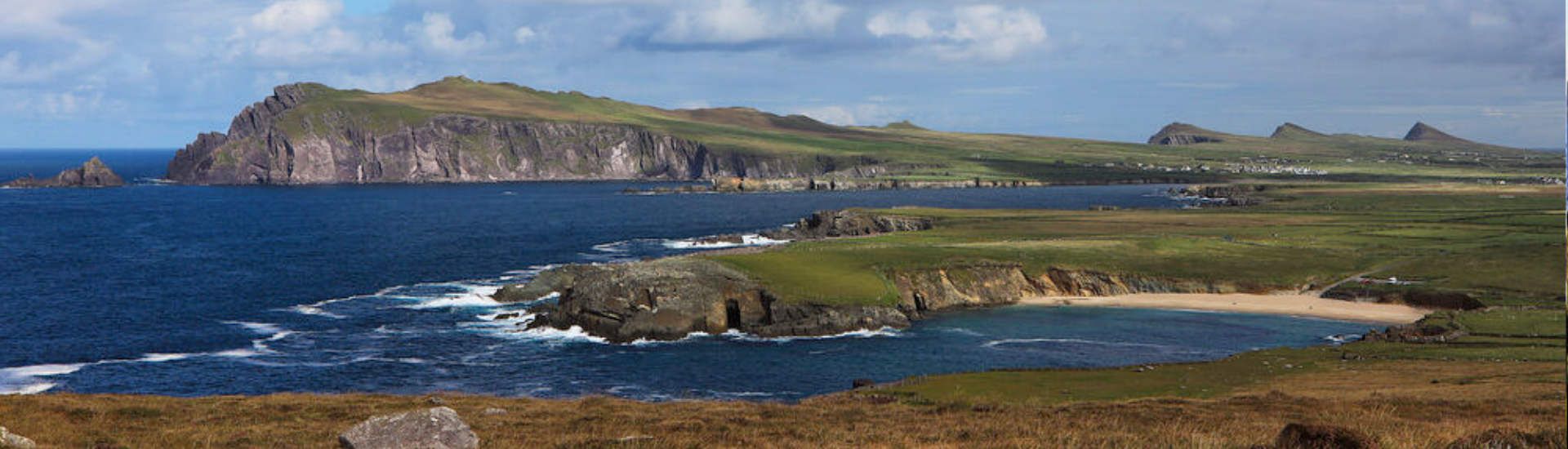 Fungie the Famous Irish Dolphin | Luxury Family Vacations Ireland ...